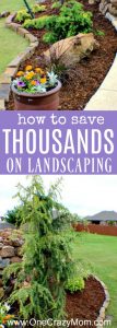 Money Saving Landscaping Ideas - 7 Money saving landscaping tips