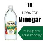 Vinegar Uses - 10 Helpful Uses for Vinegar