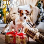 Gift Ideas for Dog Owners- 25 Presents for Dog Lovers