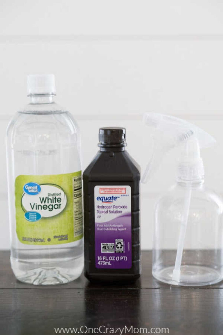 Homemade Carpet Cleaner - One Crazy Mom