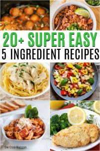 5 ingredient recipes - 20+ fast easy recipes with few ingredients