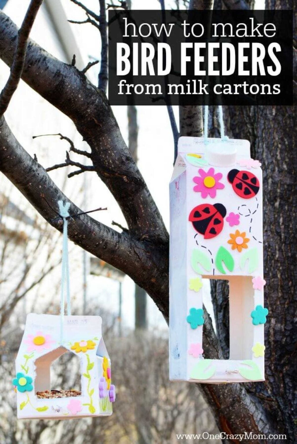 Homemade Bird Feeder - how to make a DIY Birdfeeder