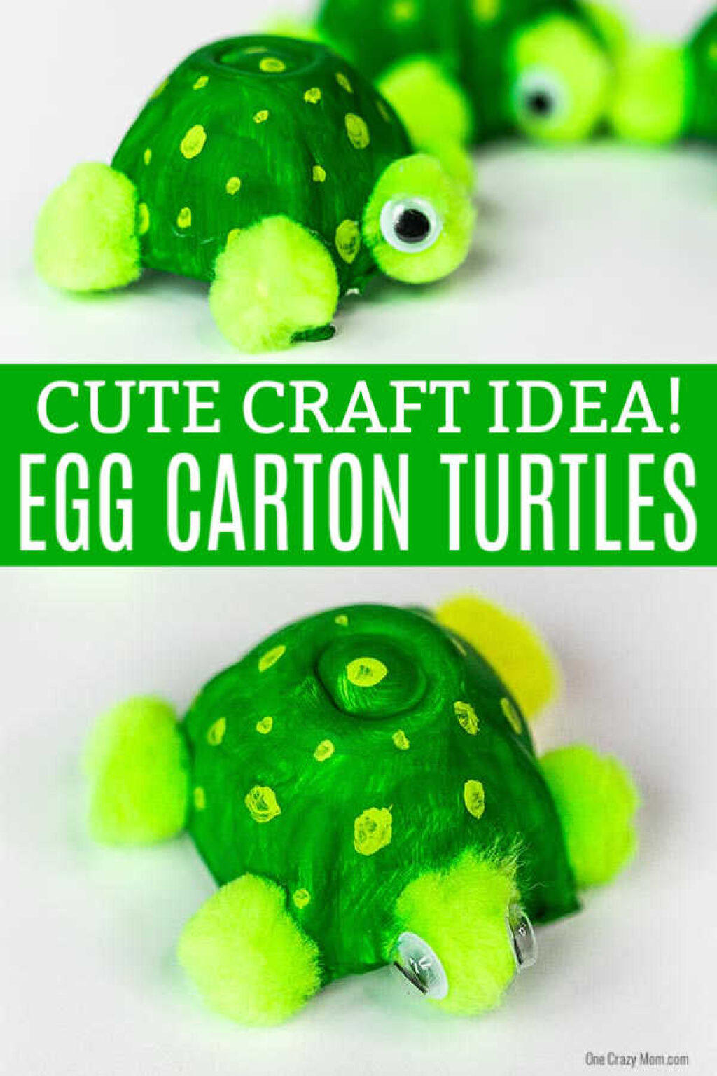 Egg Carton Turtle Craft - One Crazy Mom