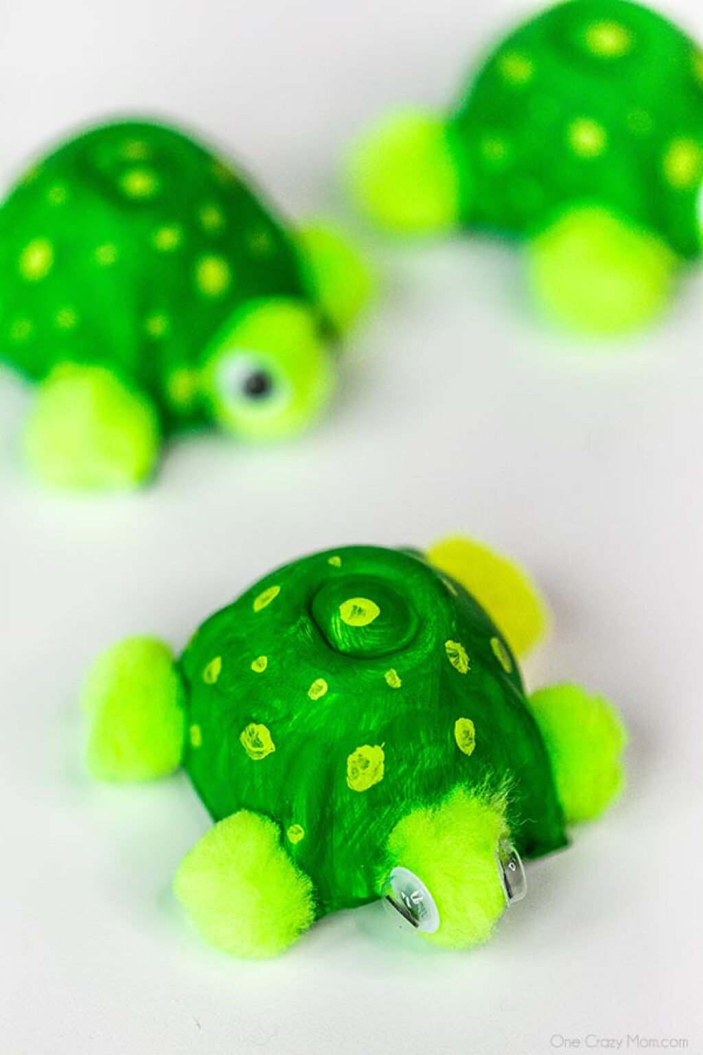 Egg Carton Turtle Craft - One Crazy Mom