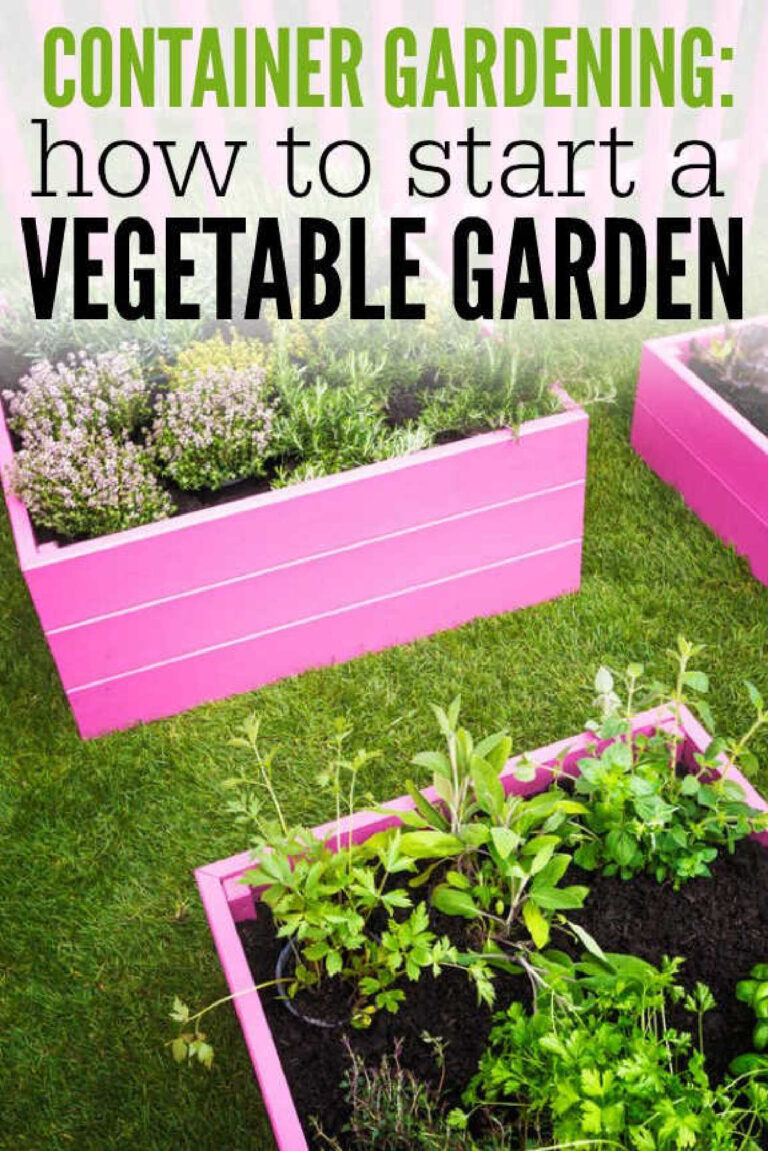 Container Gardening - How to start a Vegetable Garden