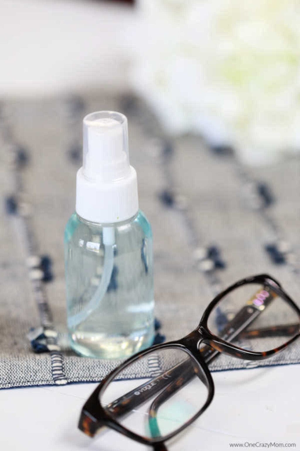 DIY Eyeglass Cleaner - One Crazy Mom
