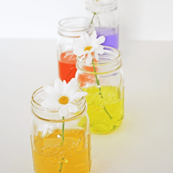 Vase Filler Ideas - One Crazy Mom