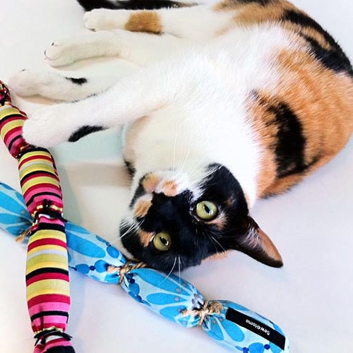 DIY Cat Toys - One Crazy Mom