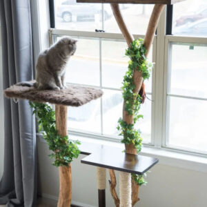 DIY Cat Toys - One Crazy Mom