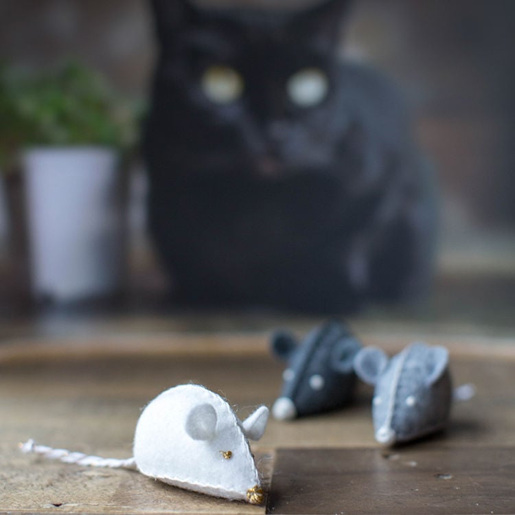 DIY Cat Toys - One Crazy Mom