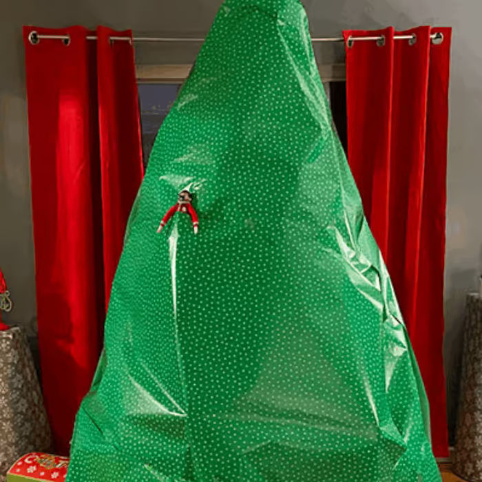 Elf On The Shelf Arrival Ideas - One Crazy Mom