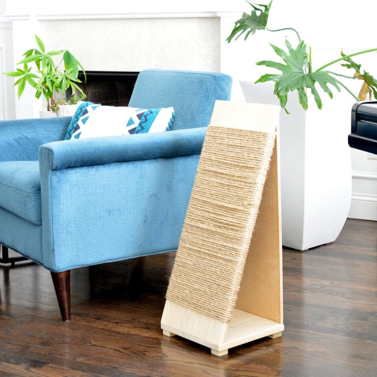 DIY Cat Toys - One Crazy Mom