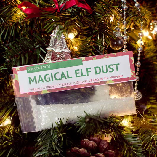 Elf On The Shelf Arrival Ideas - One Crazy Mom