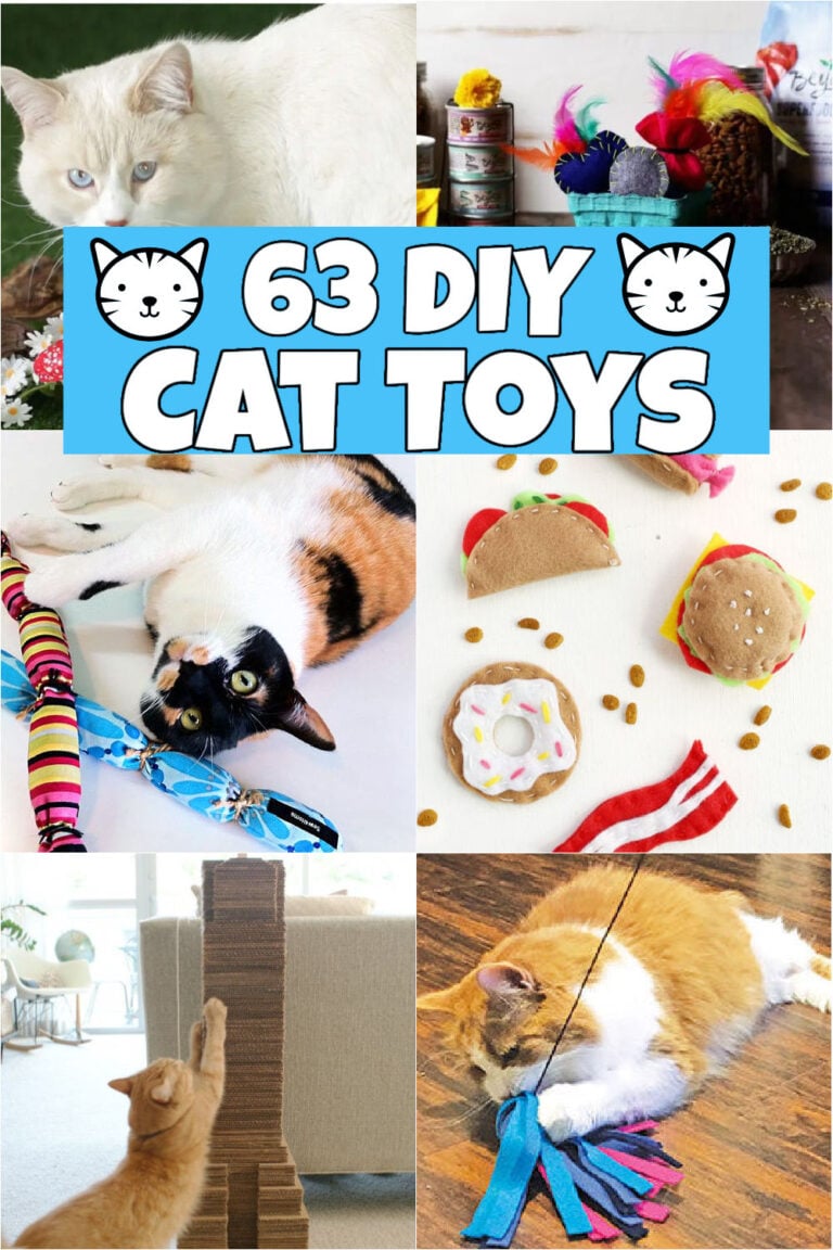 DIY Cat Toys - One Crazy Mom